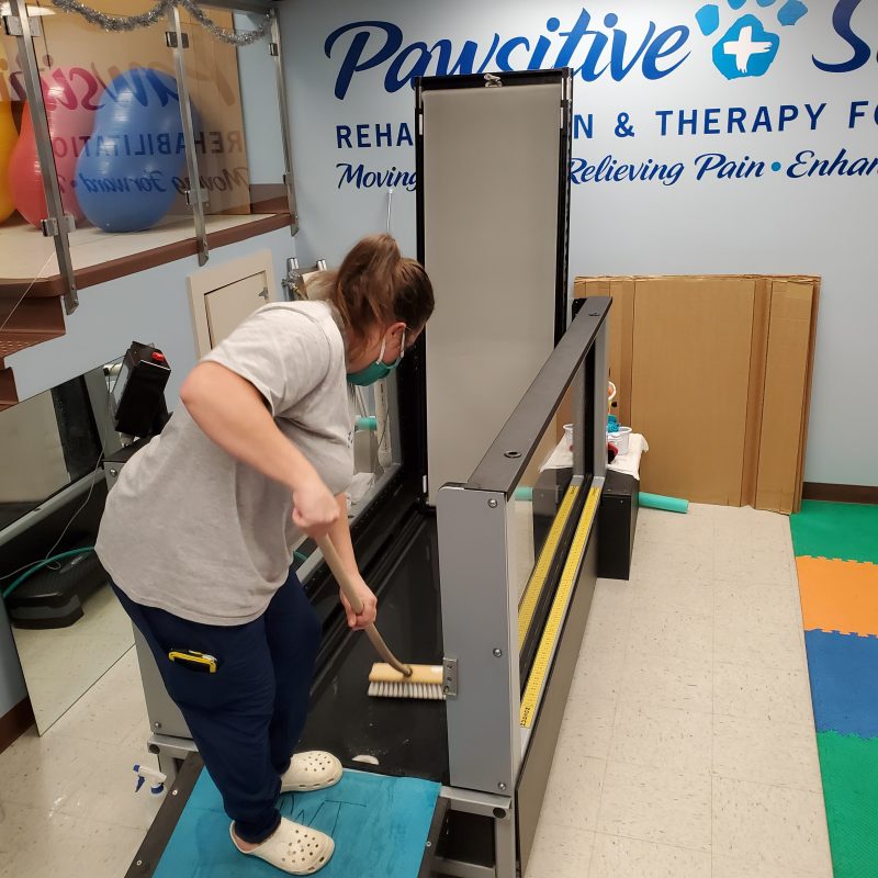 Behind the Scenes – Hydrotherapy Maintenance | Pawsitive Steps ...